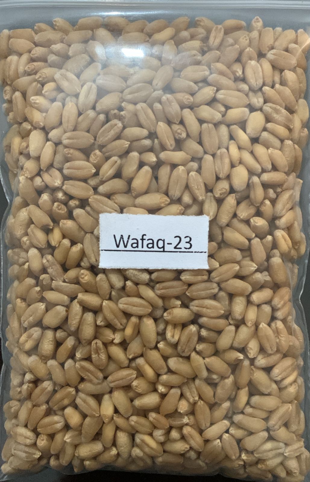 Wafaq-23 – Askari Seeds – A Project of Army Welfare Trust